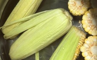 玉米煮多久能熟_玉米煮多久才软糯香甜