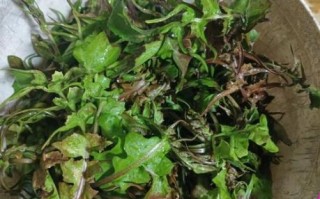 荠菜怎么炒好吃_荠菜炒蛋的做法窍门