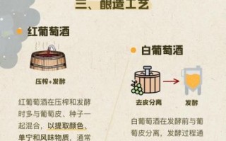 红葡萄酒和白葡萄酒的区别_哪个更好喝