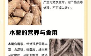 木薯怎么煮才没有毒_木薯去毒的正确方法