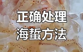 海蜇头怎么处理_海蜇头怎么清洗去腥