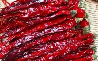 二荆条和灯笼椒哪个香_辣椒香味对比