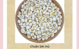 川贝母怎么吃能治咳嗽_川贝母化痰的正确用法