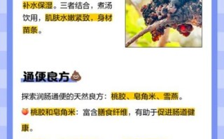 雪燕桃胶皂角米禁忌_孕妇能吃吗