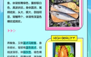 鲐鱼为什么比鲅鱼便宜_鲐鱼和鲅鱼价格差异原因