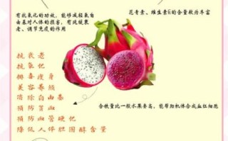 火龙果酵素的功效与作用_火龙果酵素能减肥吗