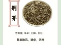 荆芥草的功效与作用_荆芥草怎么用