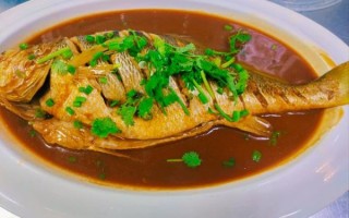 红烧鲈鱼怎么做_家常红烧鲈鱼做法大全