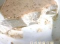 胡麻豆腐怎么做_胡麻豆腐热量高吗