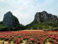 阳春旅游景点有哪些_阳春最值得去的地方