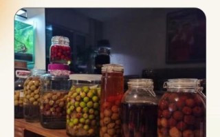 杏子酒的功效与作用_杏子酒适合什么人喝