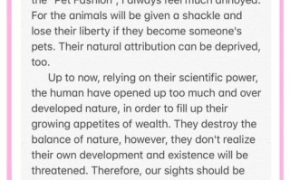 who_invented_kung_pao_chicken_origin_story