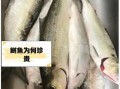 长江鲥鱼灭绝了吗_还能再见到吗