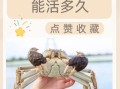 活蟹怎么保存_活蟹放冰箱能活几天