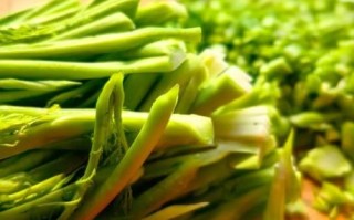 雪里蕻怎么做好吃_腌制雪里蕻的家常做法