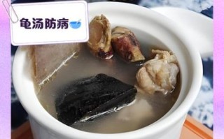 乌龟汤的功效与作用_乌龟汤适合什么人喝