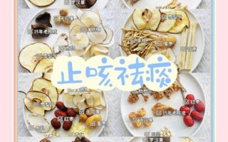 秋天煲什么汤喝比较好_秋季润肺汤推荐