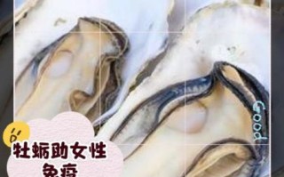女人吃生蚝提高性功能吗_生蚝对女性的真实作用
