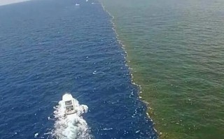 阿拉斯加海湾在哪里_阿拉斯加海湾形成原因