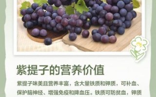 紫葡萄的营养价值_紫葡萄的功效与作用