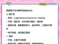 瓠子瓜的功效与作用_孕妇能吃吗