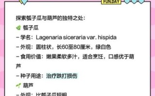 瓠子瓜的功效与作用_孕妇能吃吗
