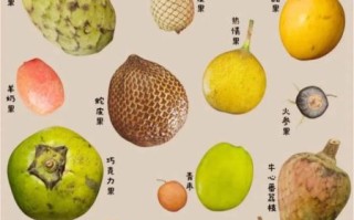 热带水果大全100种有哪些_热带水果大全100种怎么吃