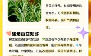 迷迭香茶怎么制作_迷迭香茶的功效与作用