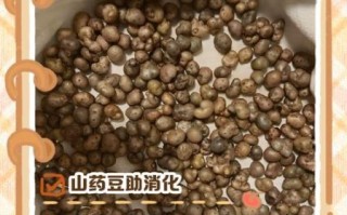 山药豆怎么去皮最快_山药豆去皮的小妙招