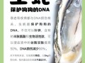 生蚝的营养价值_生蚝不能和什么一起吃