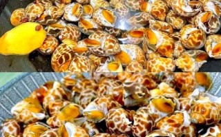 花螺怎么吃_花螺哪个部位能吃