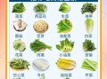 麻辣烫必备菜有哪些_麻辣烫素菜推荐
