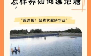 黄鳝养殖技术有哪些_如何提高成活率