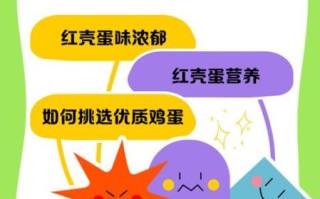 红鸡蛋代表什么意思_红鸡蛋的寓意和由来