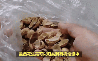 花生壳是什么垃圾_花生壳能直接扔厨余吗