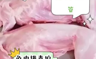 兔肉的功效与作用禁忌_什么人不能吃兔肉