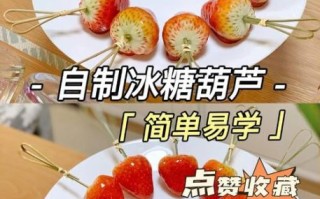 冰糖葫芦水果种类有哪些_水果冰糖葫芦怎么做