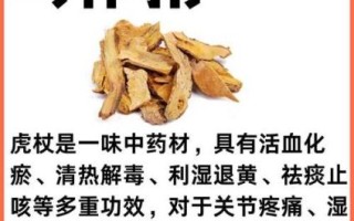 虎杖的功效与作用禁忌_孕妇能吃虎杖吗