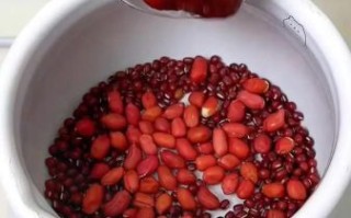 红豆和什么搭配补气血_红豆补血最佳搭配