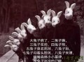 复活节恐怖兔子图片_为什么让人毛骨悚然