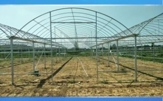 蔬菜大棚造价多少钱_蔬菜大棚利润怎么样