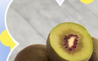 猕猴桃可以放冰箱吗_猕猴桃冷藏保存方法