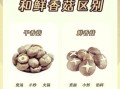 香菇怎么挑选_新鲜香菇和干香菇区别