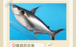 巴沙鱼为什么不适合孩子吃_巴沙鱼孩子吃了有什么危害