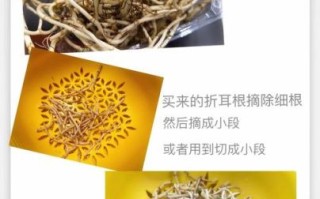 折耳根什么味道_折耳根好吃吗