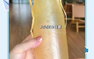 黄唇鱼胶多少钱一斤_黄唇鱼胶真假怎么辨别