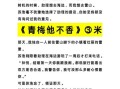 他的小青梅po是什么_他的小青梅po全文在哪看