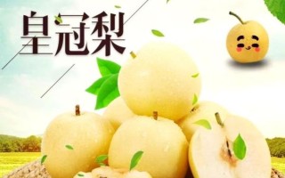 鸭梨和雪梨的区别_哪个更好吃