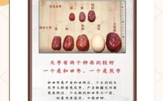 枣子的功效与作用有哪些_枣子的害处是什么