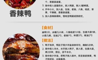 鸭肉怎么做好吃_家常鸭肉做法大全